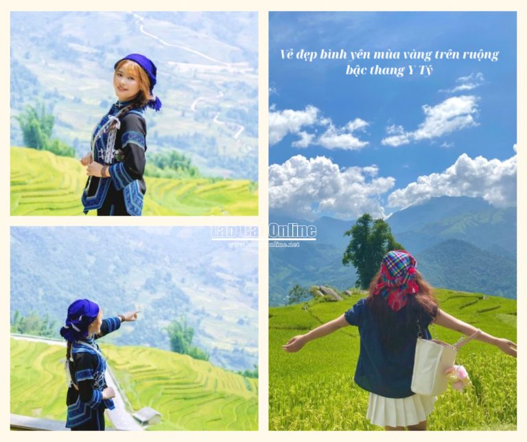 Vẻ đẹp Bình Yên Mùa Vàng Trên Ruộng Bậc Thang Y Tý